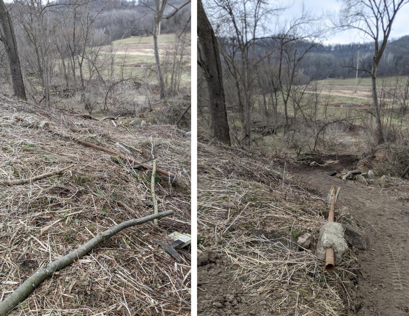 Building a Trail, Deep into the Ravine – Syllepsis